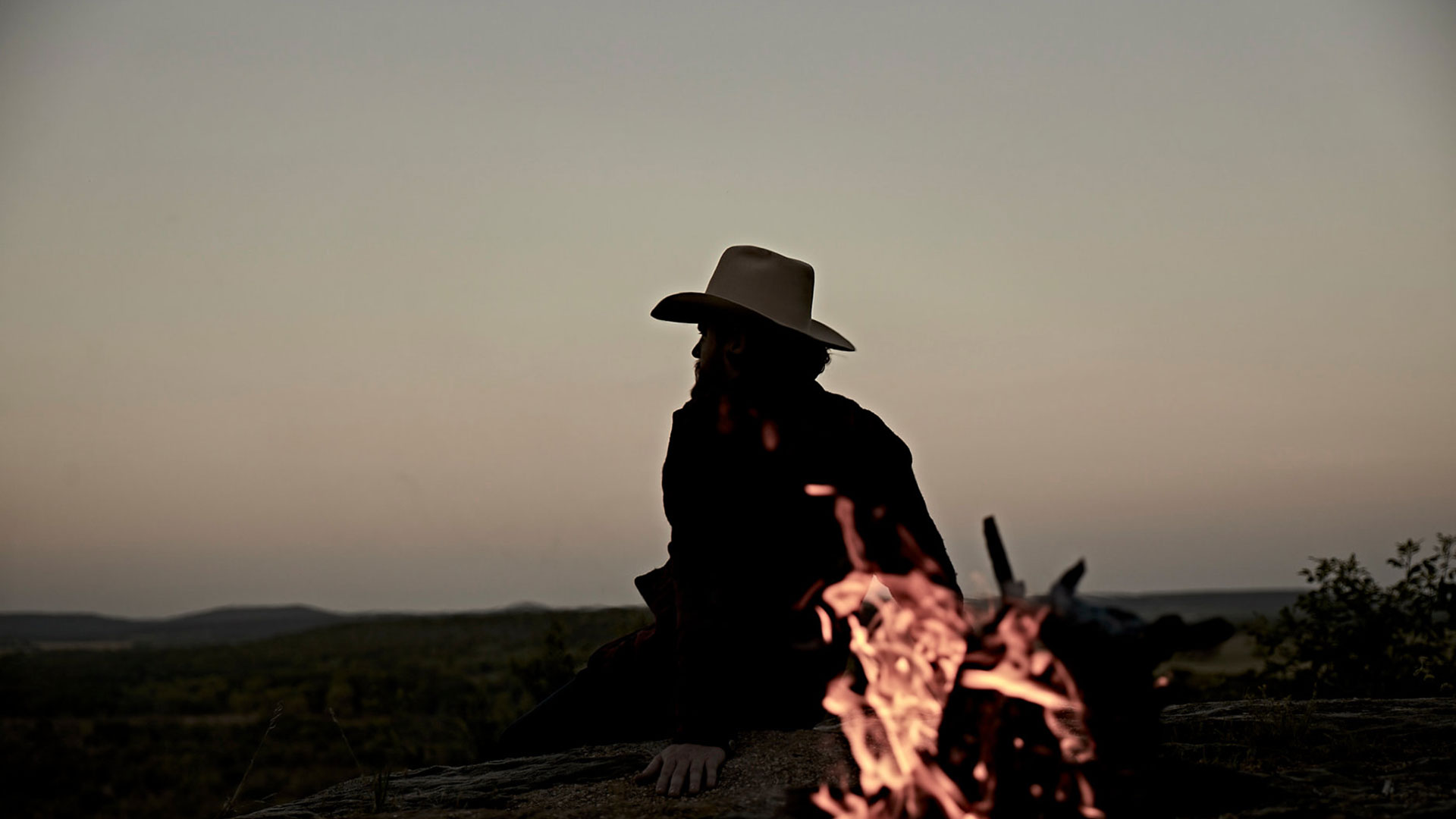 Deep Roots | Management